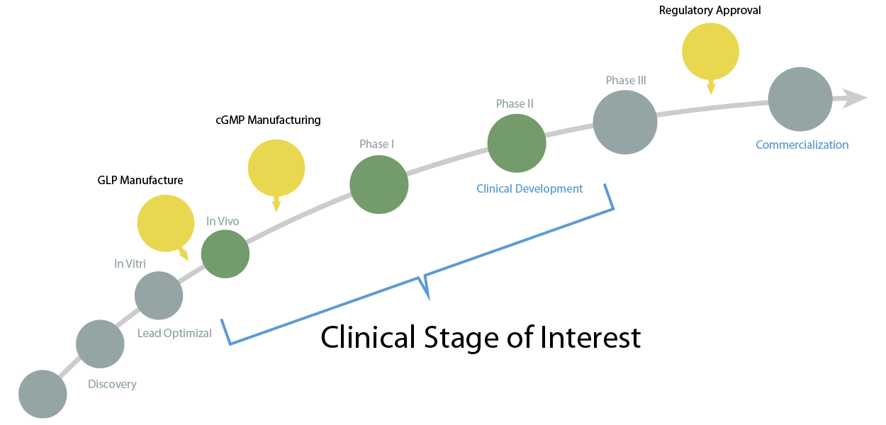 Focus – Acanthus Pharma Services